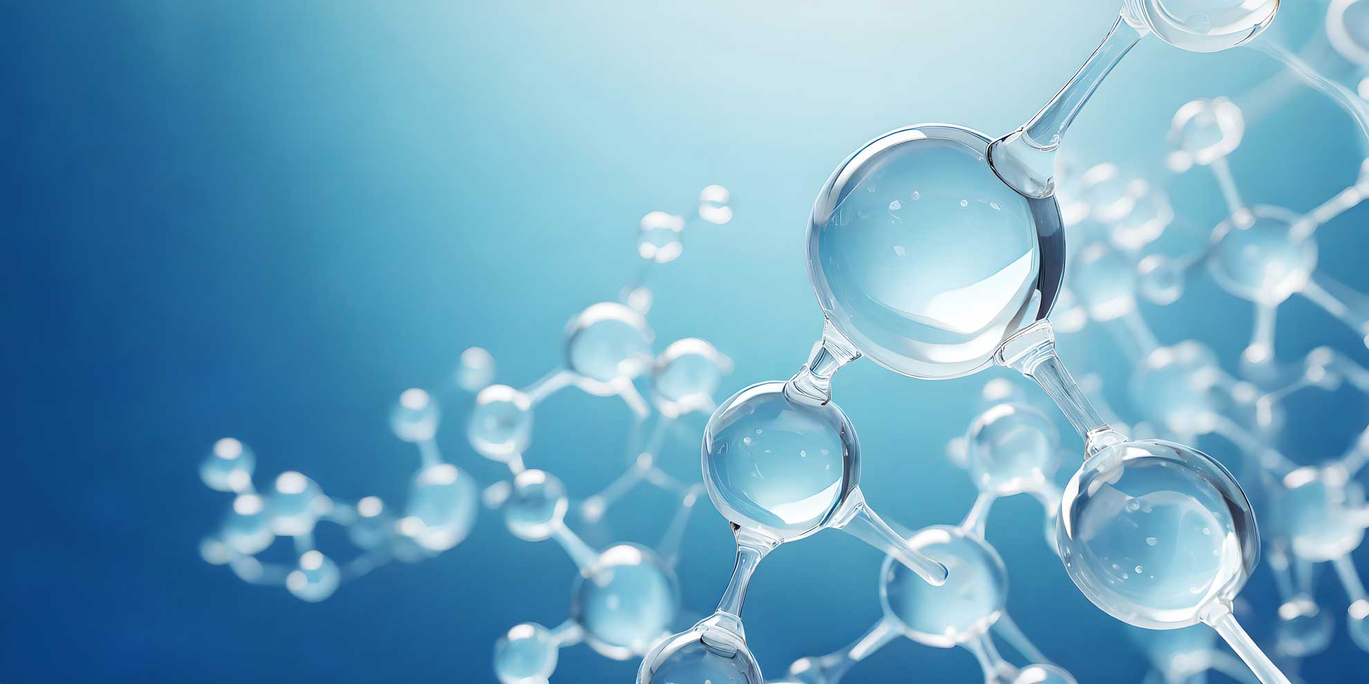 Refunds & Returns - TNN Peptides